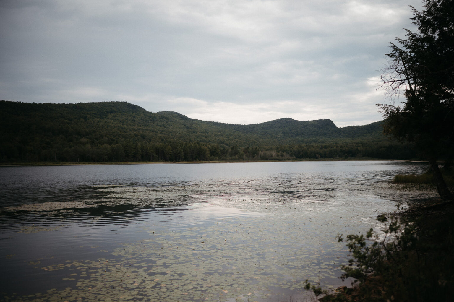 Kristina & Kyle's Wintergreen Lake Elopement – Andrew Franciosa Studio