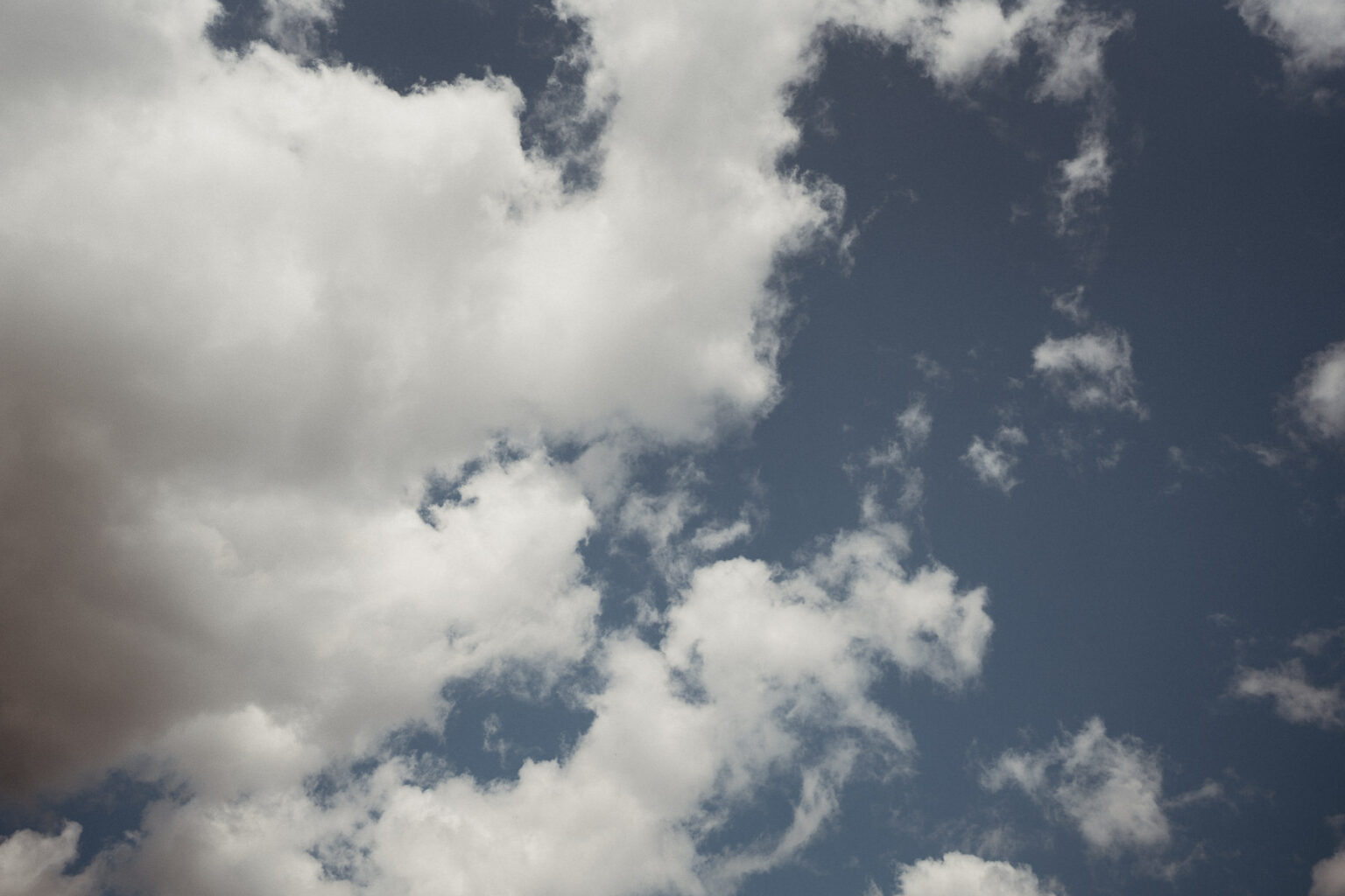 Summer Red Maple Vineyard Wedding with Sasha & Roie