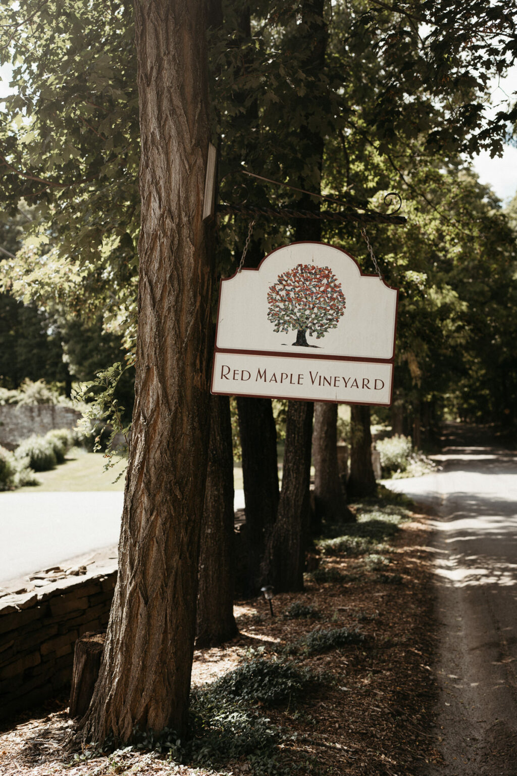 Summer Red Maple Vineyard Wedding with Sasha & Roie